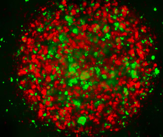 バイオディスペンサー BIO CELLX アプリケーション | セルバイオロジー | バイオサイエンス | 【AXEL】アズワン