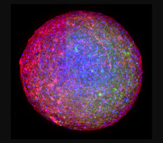 バイオディスペンサー BIO CELLX アプリケーション | セルバイオロジー | バイオサイエンス | 【AXEL】アズワン