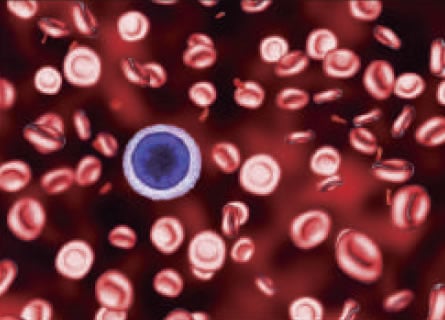 On-Chip Sort | セルバイオロジー | バイオサイエンス | 【AXEL】アズワン