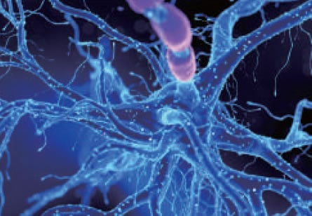 On-Chip Sort | セルバイオロジー | バイオサイエンス | 【AXEL】アズワン