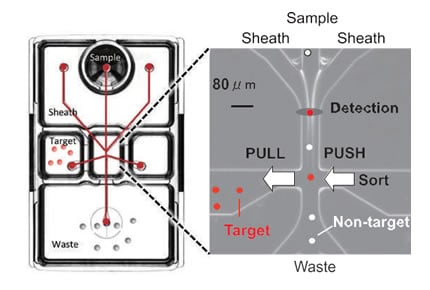 On-Chip Sort | セルバイオロジー | バイオサイエンス | 【AXEL】アズワン