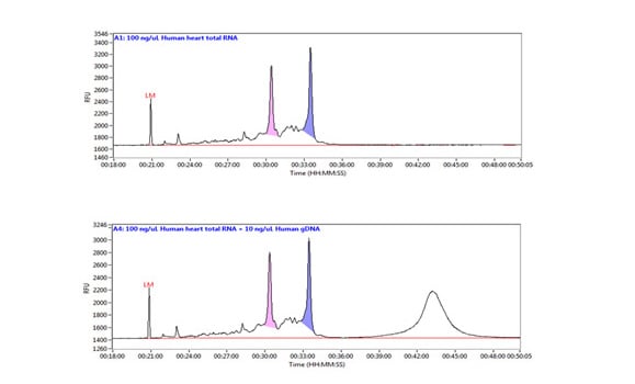 アプリケーション | 全自動キャピラリー電気泳動システム Fragment Analyzer System | ゲノミクス | バイオサ ...