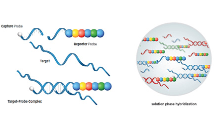 nCounter Analysis System | ゲノミクス | バイオサイエンス | 【AXEL】アズワン