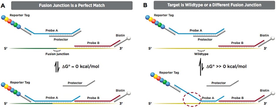 アプリケーション | nCounter Analysis System | ゲノミクス | バイオサイエンス | 【AXEL】アズワン
