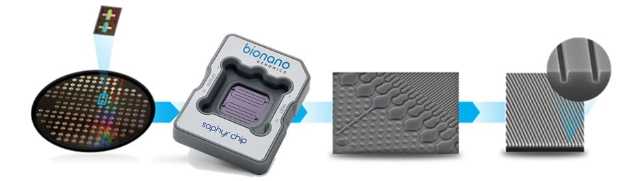 Bionano genome mapping システム Saphyr | ゲノミクス | バイオサイエンス | 【AXEL】アズワン