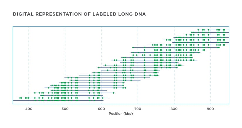 Bionano genome mapping システム Saphyr | ゲノミクス | バイオサイエンス | 【AXEL】アズワン