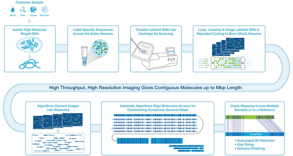 Bionano genome mapping システム Saphyr | ゲノミクス | バイオサイエンス | 【AXEL】アズワン