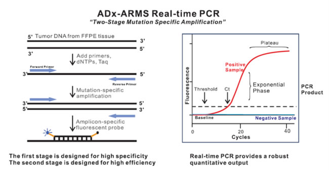 AmoyDx社と同社の技術・製品 | 研究試薬はアズワン！ | 【AXEL】アズワン