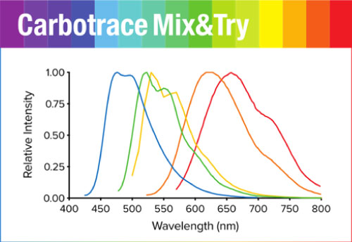 アミロイド・多糖・微生物バイオフィルム検出の新規蛍光 | 研究試薬はアズワン！ | 【AXEL】アズワン