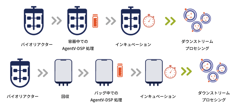 細胞外小胞（EV）の収率を向上させる、優れた「エージェント」：RoosterBio社『AgentV-DSP』 | 研究試薬はアズワン！ | 【AXEL】アズワン