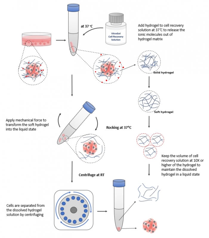 TheWell Bioscience社と同社の技術・製品 | 研究試薬はアズワン！ | 【AXEL】アズワン